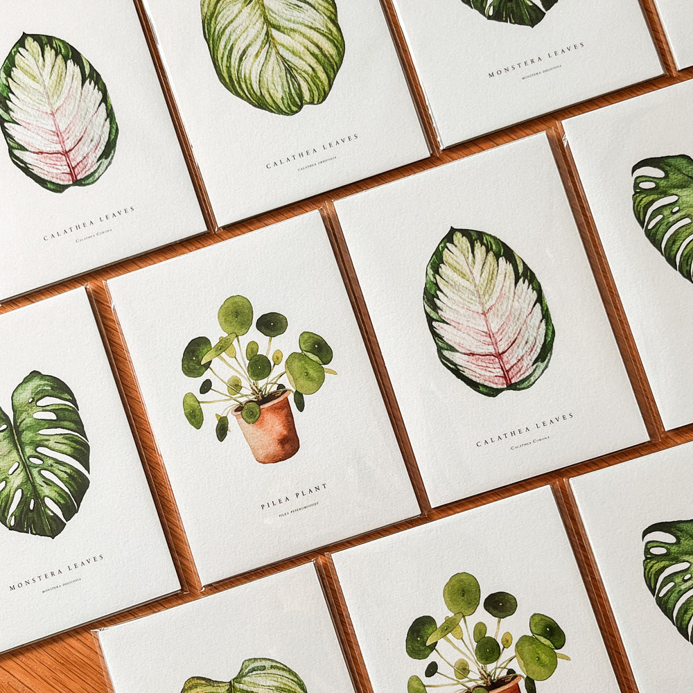 Alba Moreno - selected works – Alba Moreno Shop